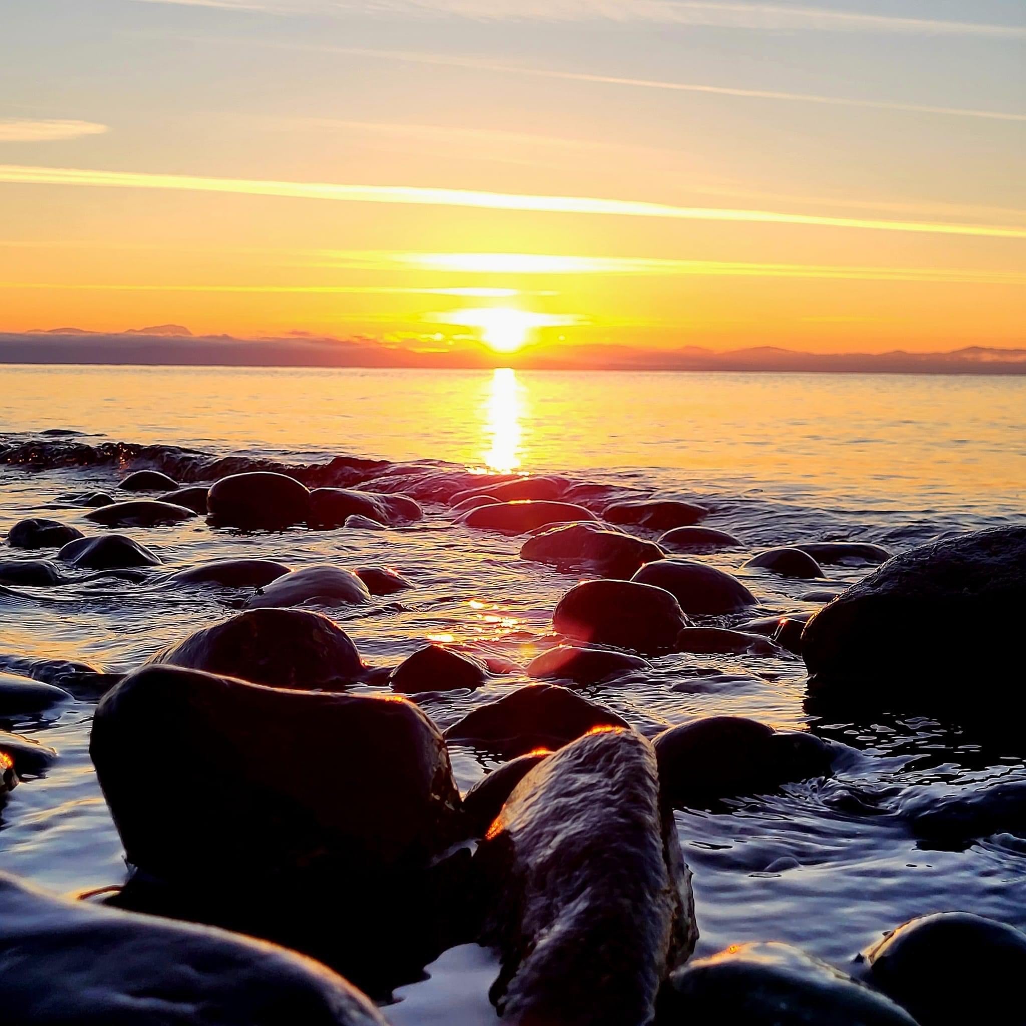 The Wet Coast Shop – TheWetCoastShop